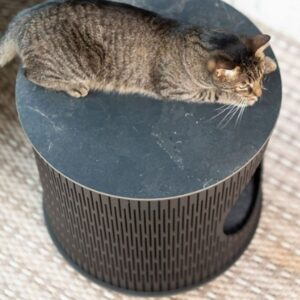 InSky - DESIGN STUDIO