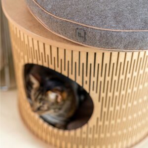 InSky - DESIGN STUDIO