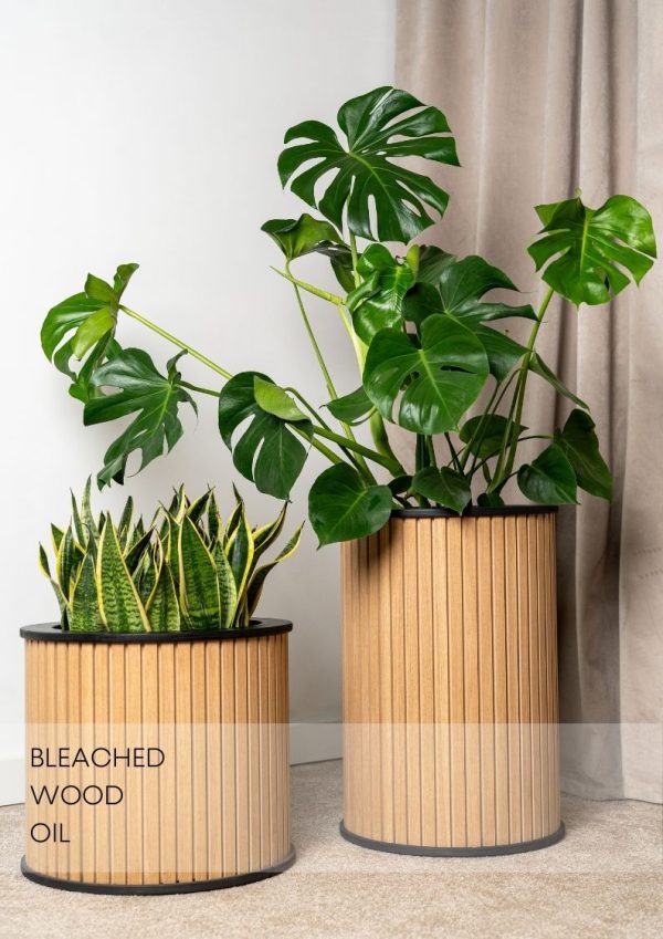 InSky - Green Design